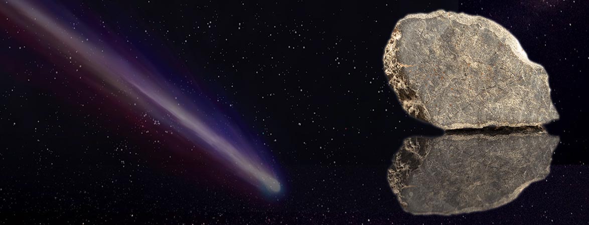 Historical Memorabilia | Heritage Auctions