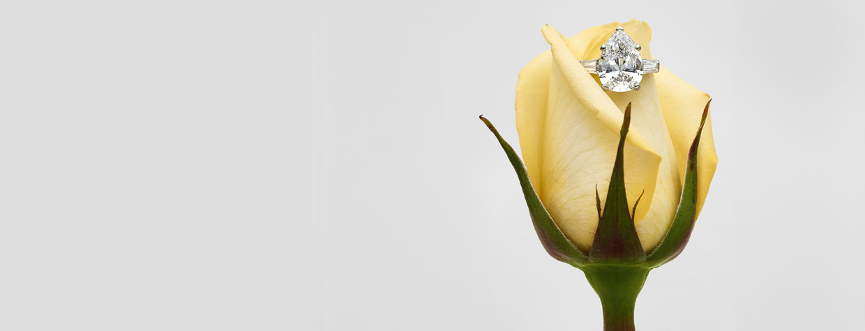 Heritage Auctions Dallas - America’s Auction House