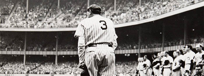 Sports Collector's Guides by Joe