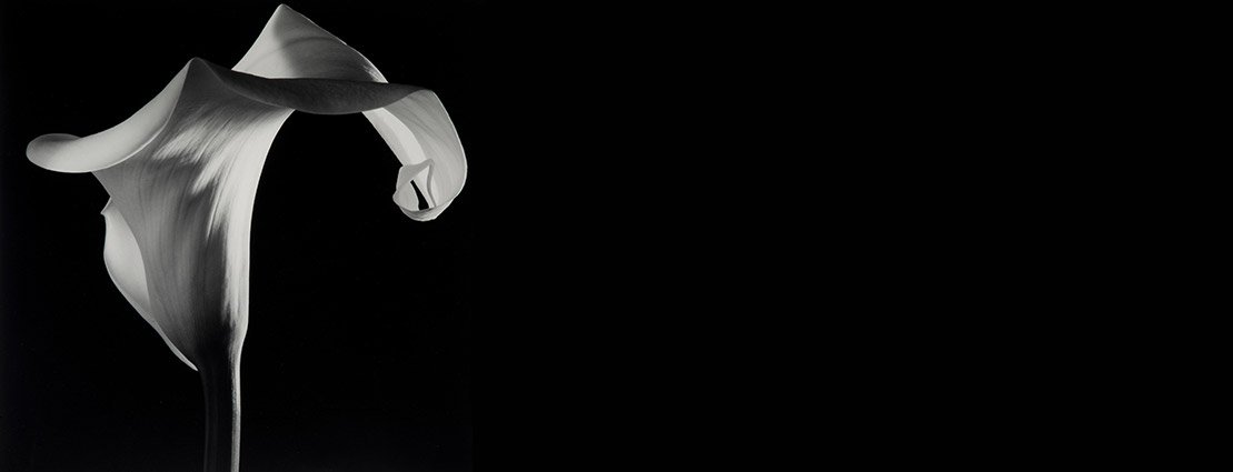 Vintage Photographs | Heritage Auctions