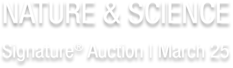 Heritage Auctions New York - America’s Auction House